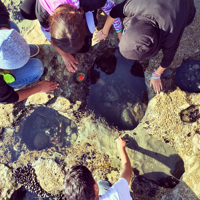 Activities/Curriculum - Exploring New Horizons